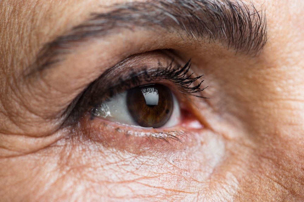 Dia Mundial da Retina: 5 doenças que exigem atenção – BLOG TV UMBURANAS